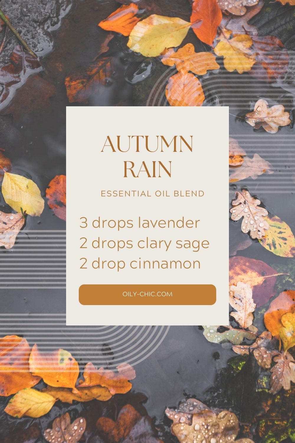 Cinnamon Essential Oil Blends Charts For Diffusing