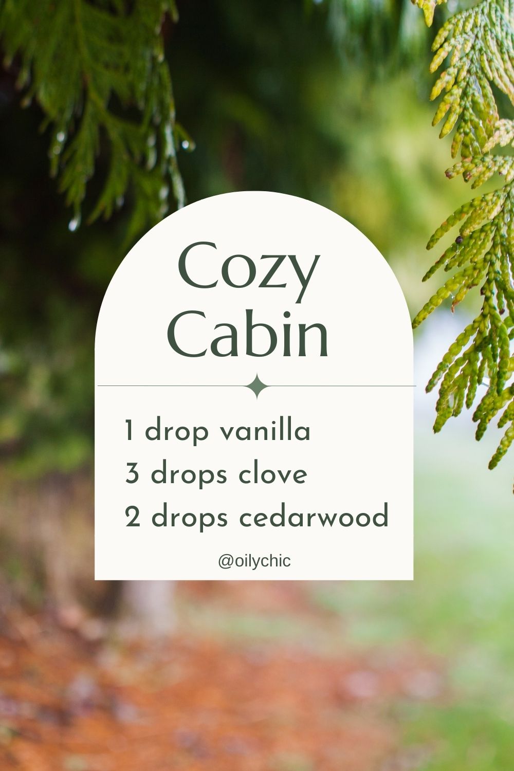12 Spiced Clove Essential Oil Blends